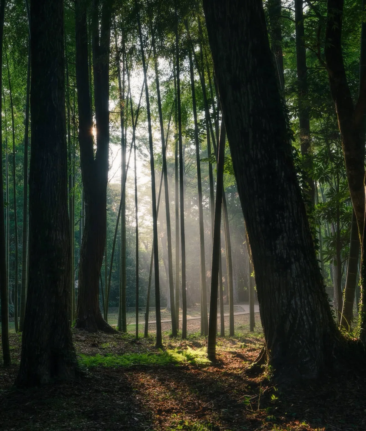 What I stopped doing to keep up with both photography and social media.｜sho