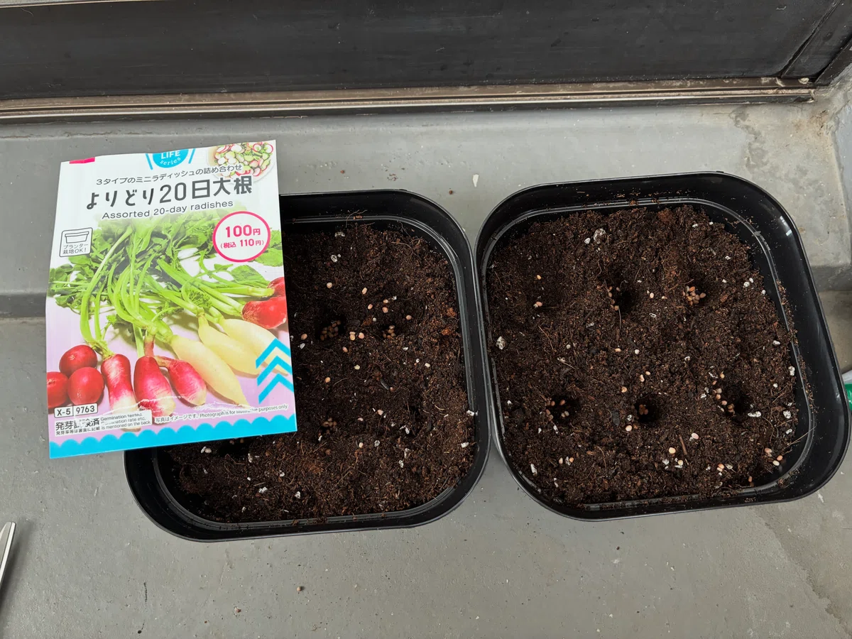 The story of how I didn't give up and bought radishes at Daiso｜農民になりきれ ...