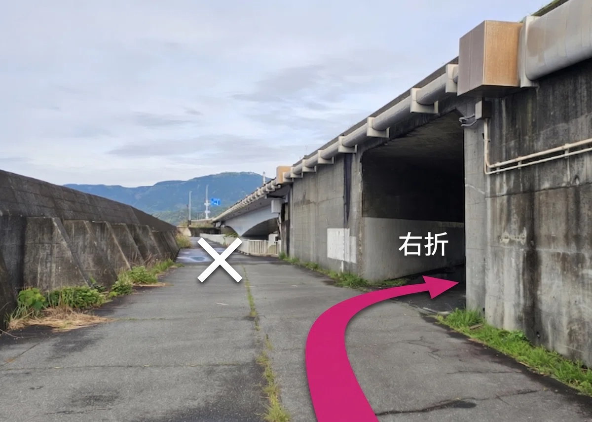 [Fuji to Yui] Avoid the National Route 1 Bypass! A Practical Guide to ...