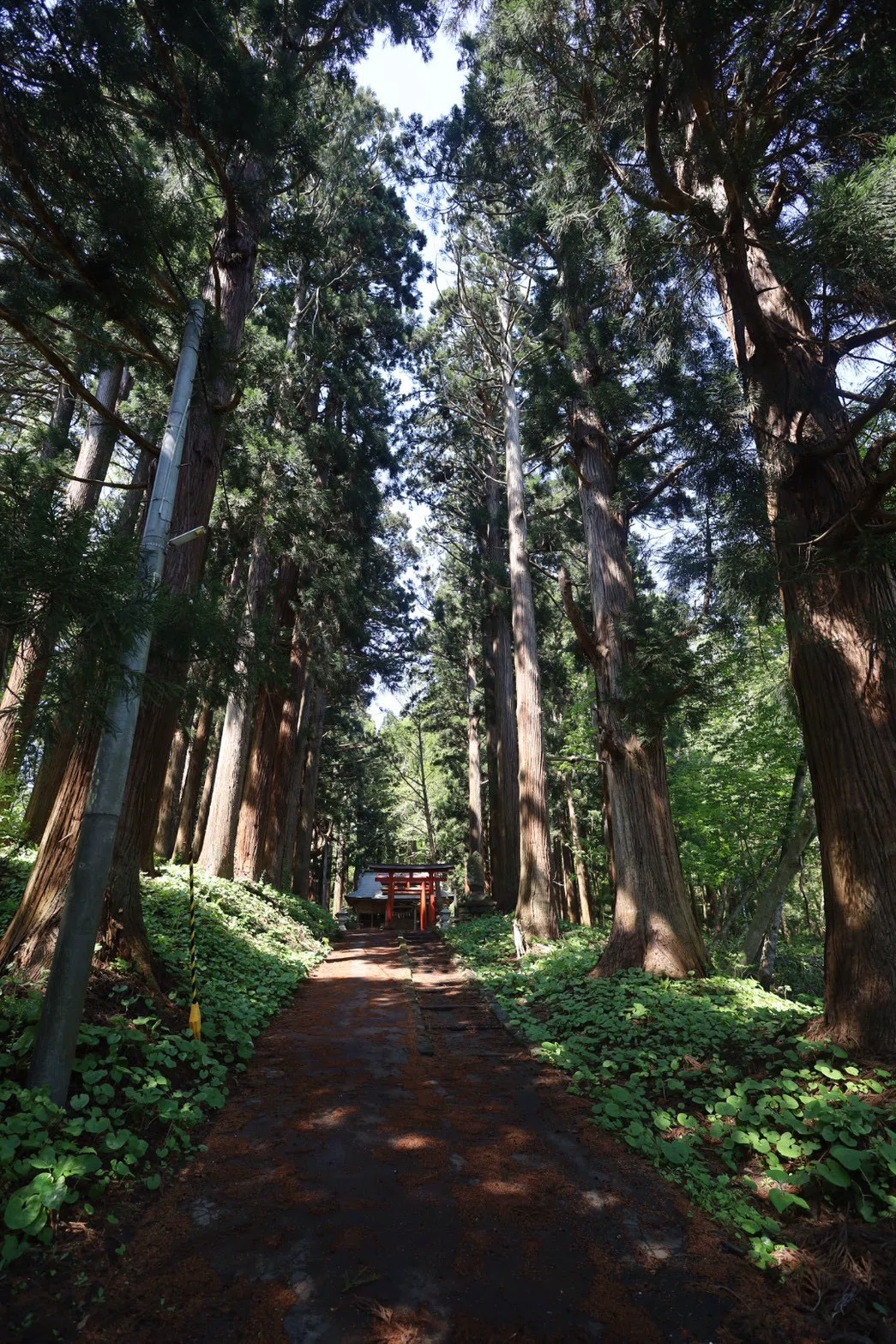 【シリーズ：青森観光】巌鬼山神社（がんきさんじんじゃ）青森県弘前市十腰内字猿沢78-17｜明日歌