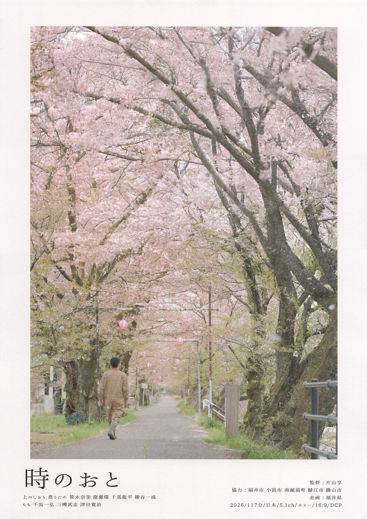 桜は、物語を静かに散らせる。映画チラシに咲く“さくら”特集｜prime_number