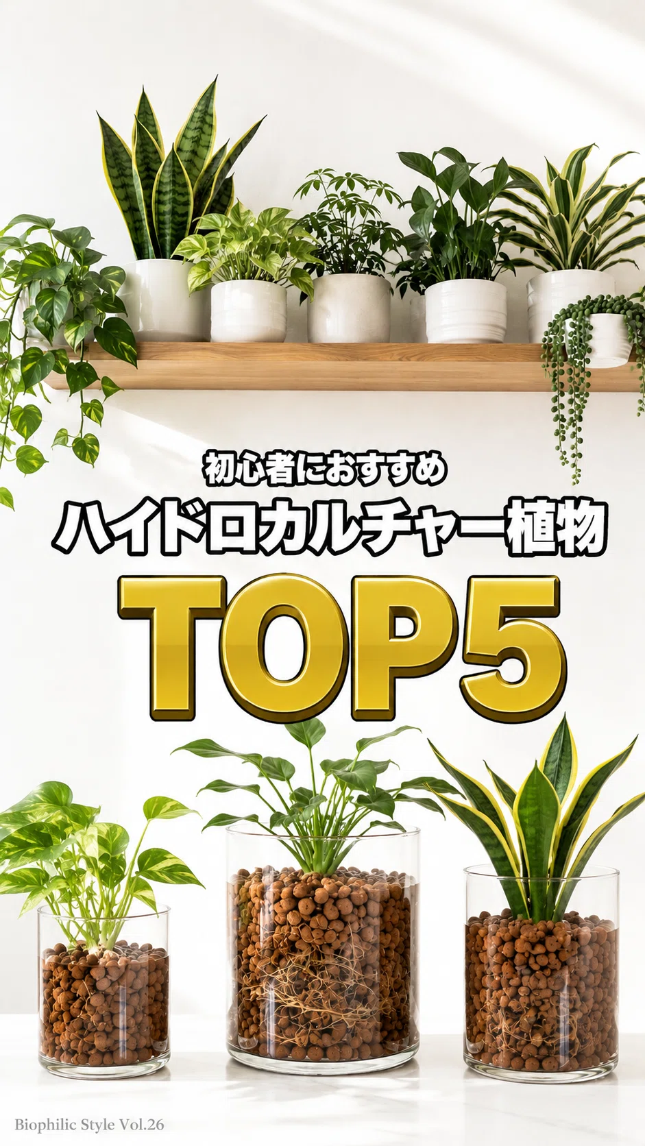 5 Recommended Plants for Hydroculture | Varieties That Are Easy for ...