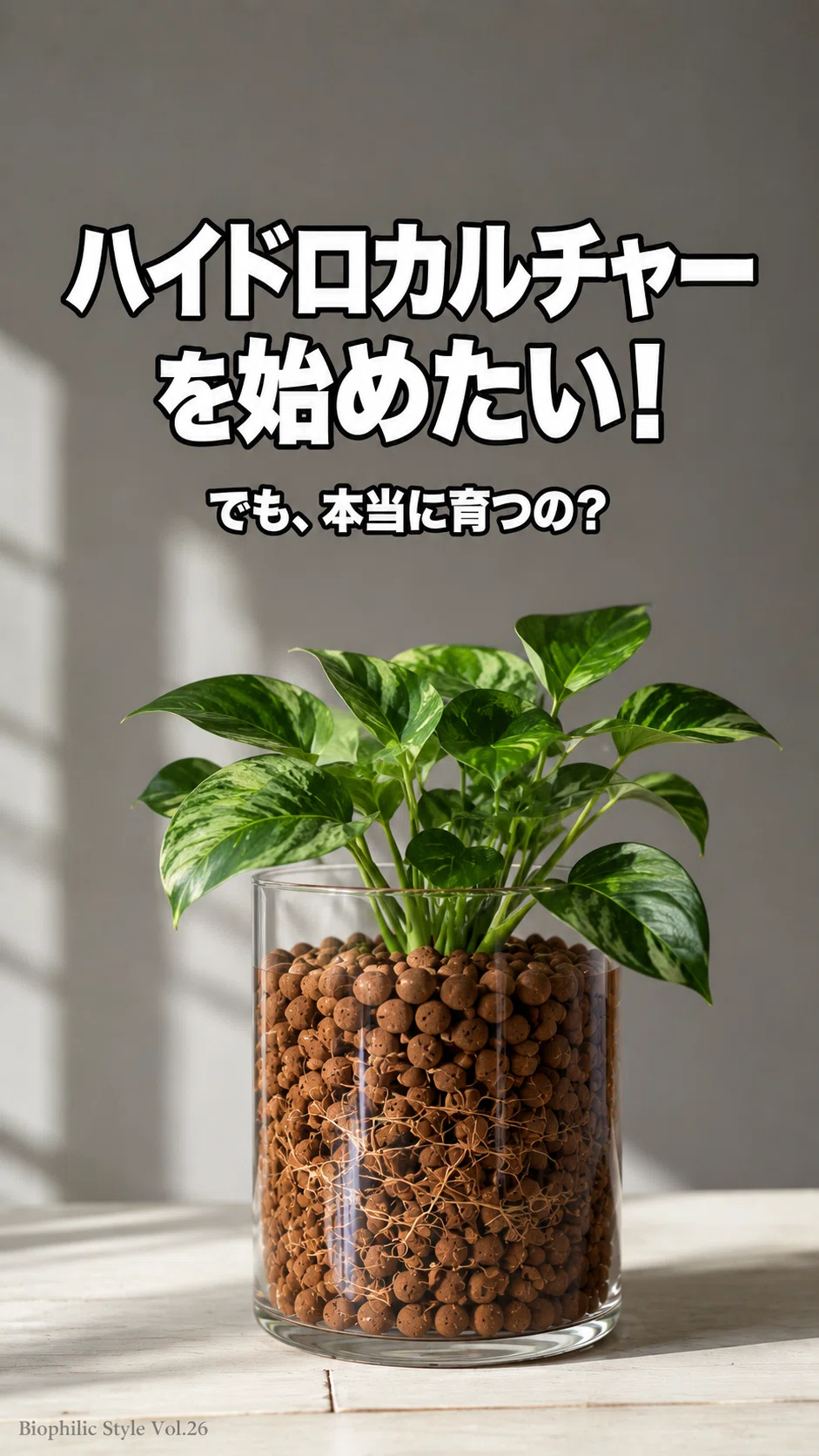 5 Recommended Plants for Hydroculture | Varieties That Are Easy for ...