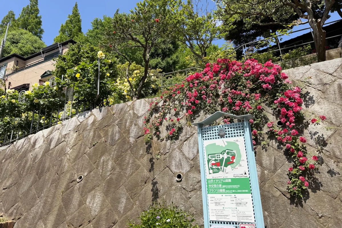 My heart returns to being a young girl. Surrounded by spring roses at ...