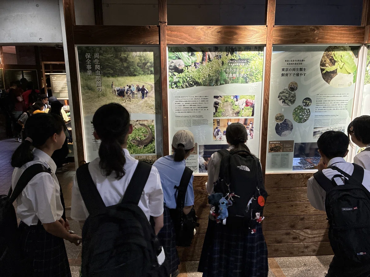上野動物園｜千葉県立東葛飾中学校公式note