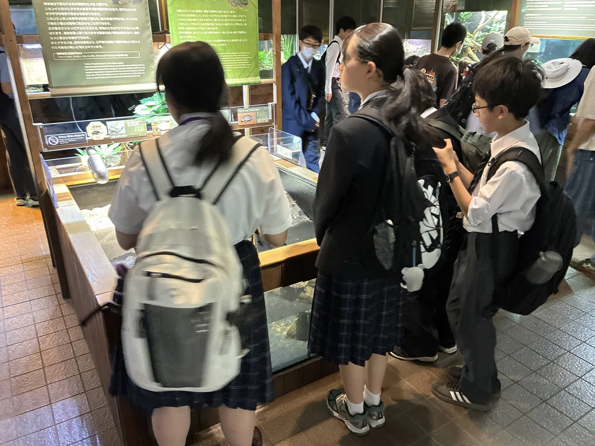 上野動物園｜千葉県立東葛飾中学校公式note