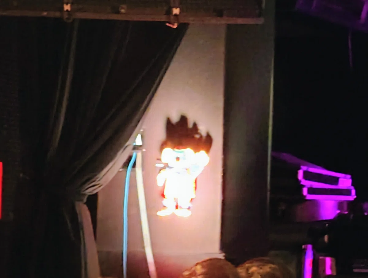 またまたズーカラデルのライブに行ってきました！｜Y Ta