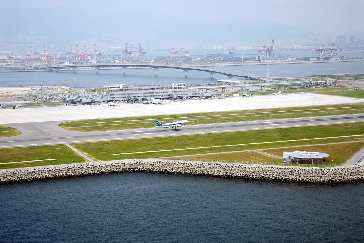 さかなの家は空港です。神戸の海にひろがる生き物たちのまち｜神戸市公式note