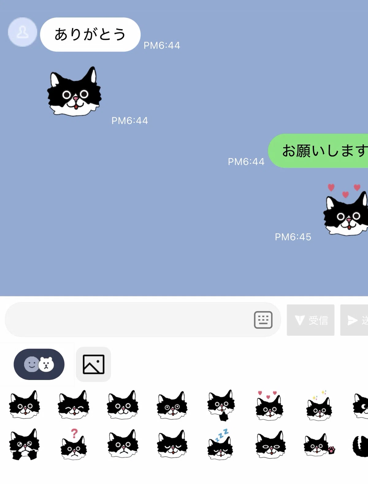 【今日はなんの日？】5月22日 🚴 サイクリングの日｜Panda factory
