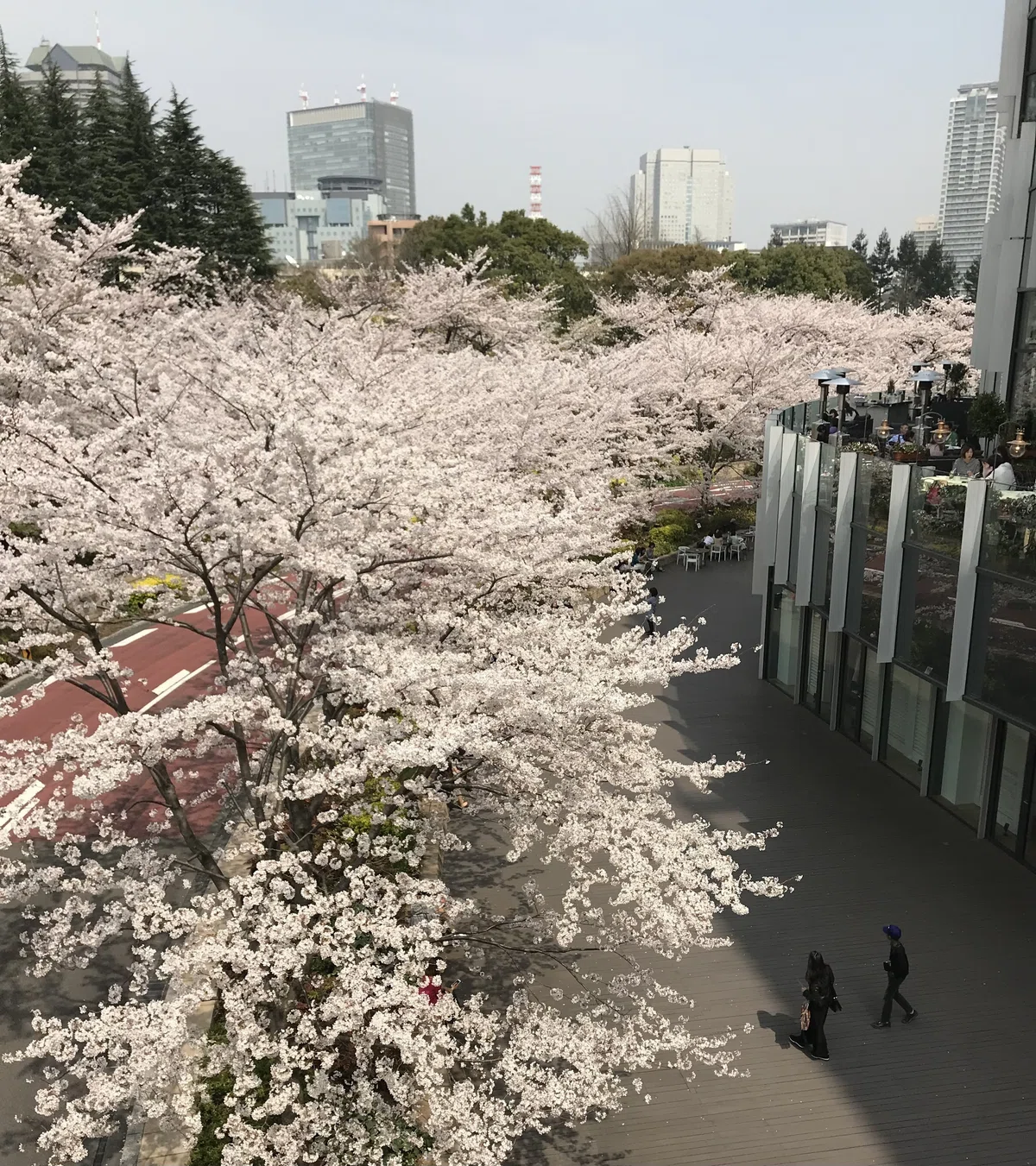 【図録の旅】＃7美術館｜わっちゃん