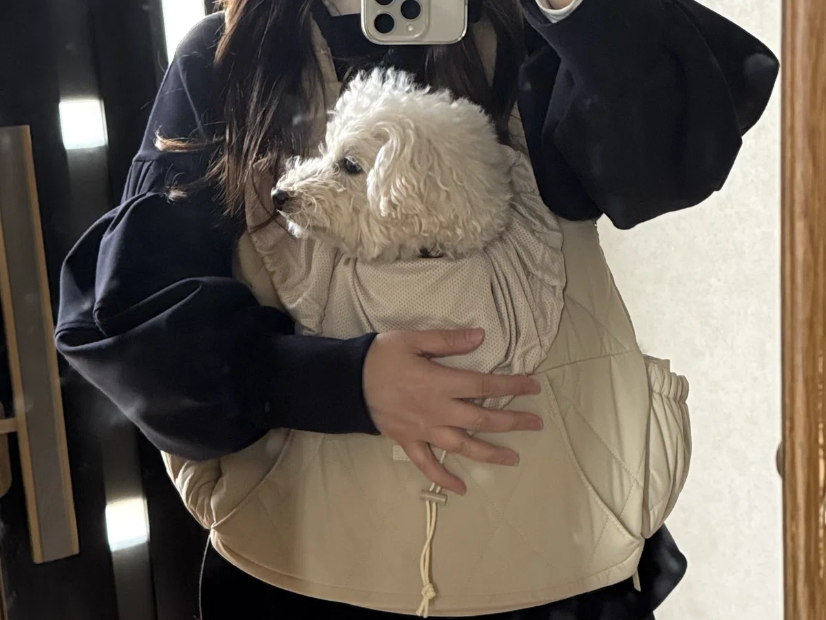 わんこ連れで横浜旅行①ジャッキー初めての新幹線｜さやぷ