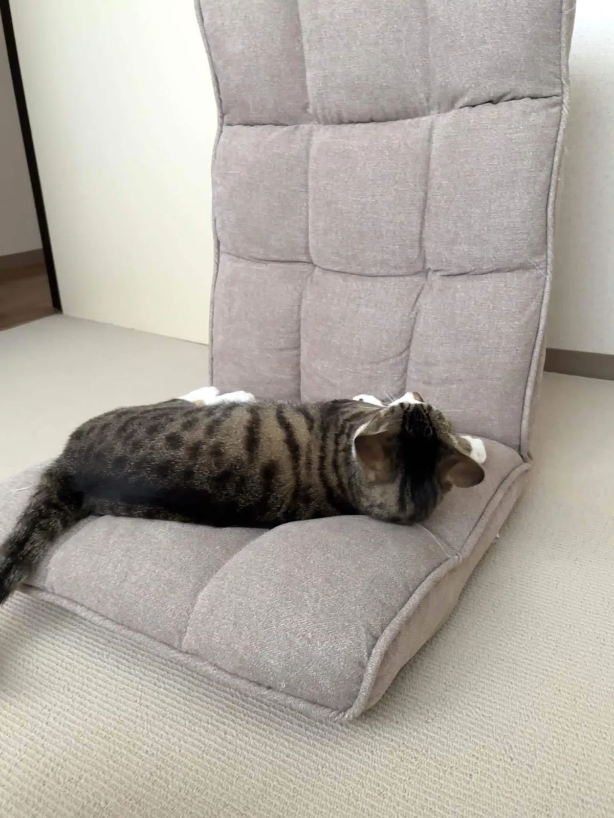身体を整える｜痛すぎて3日で挫折した私が、シャクティマットを1週間本気で続けた話｜オトト
