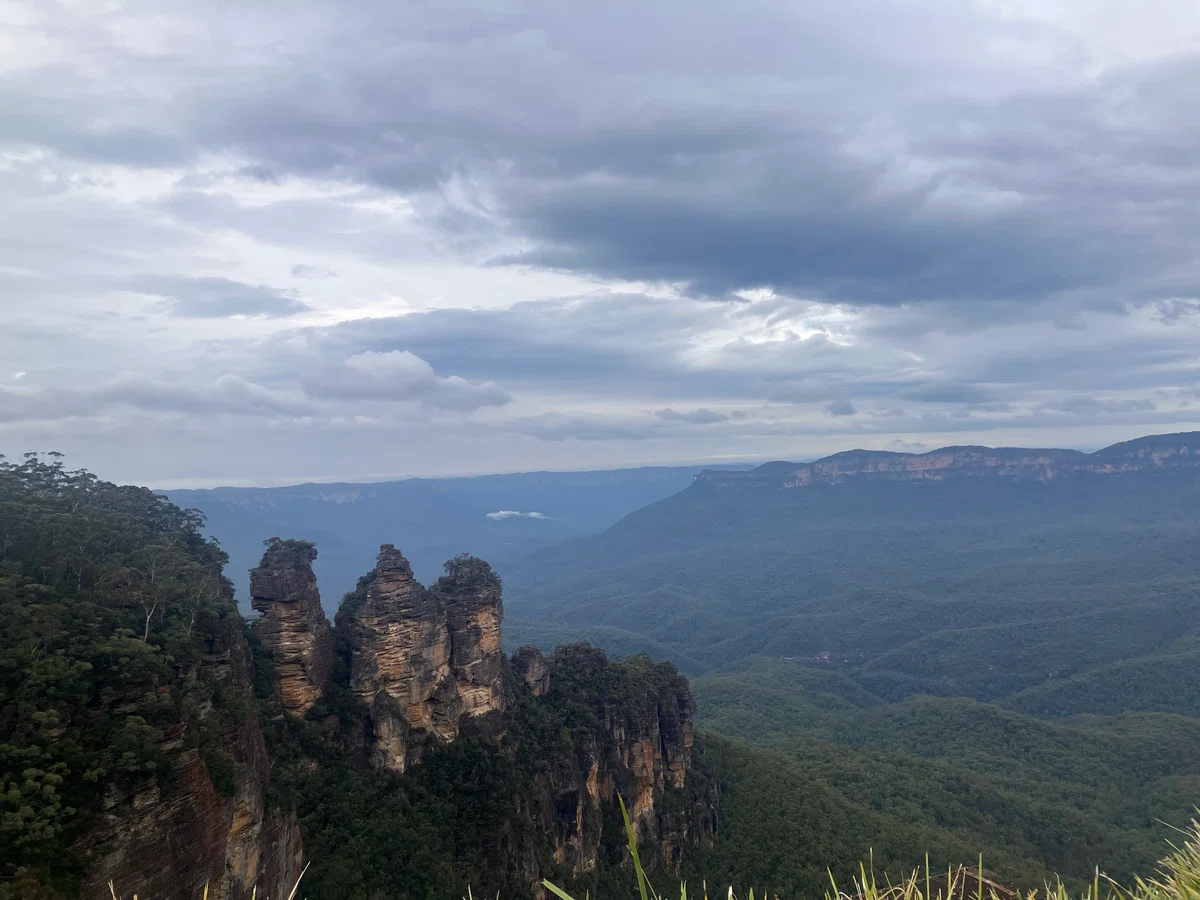 日帰りで行ける！シドニー近郊観光スポット2選｜旅好きにゃんこ🇦🇺