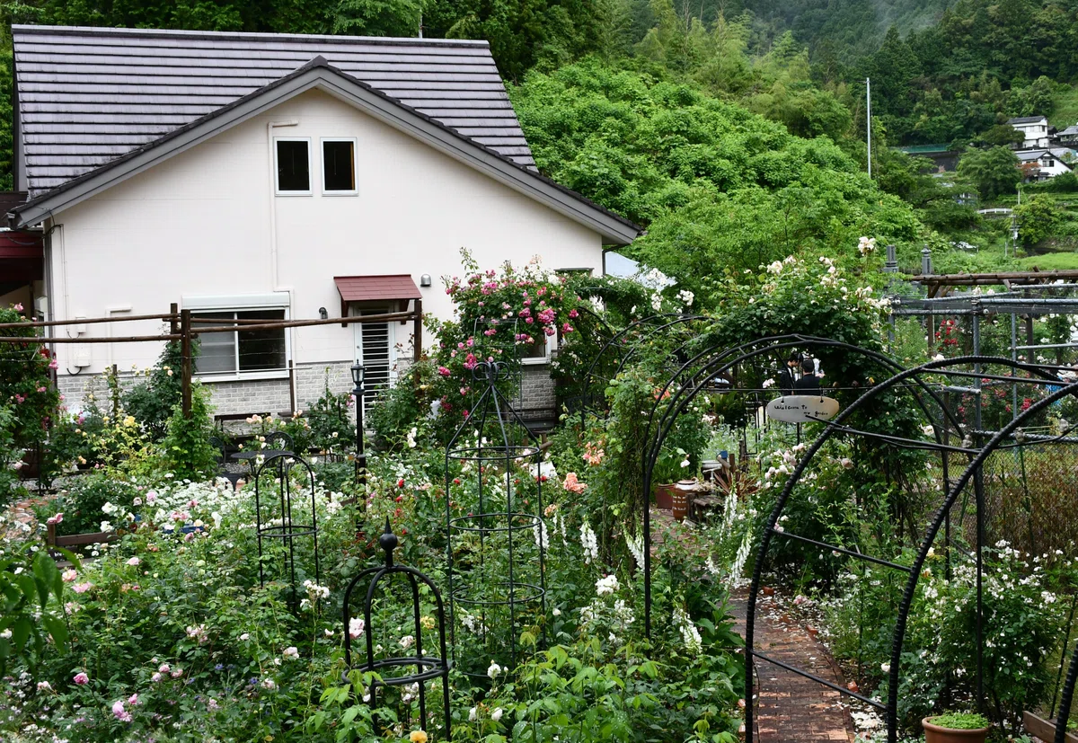 I Went to the 'Wind Path Garden Concert' in a Mountain Village in Kochi ...