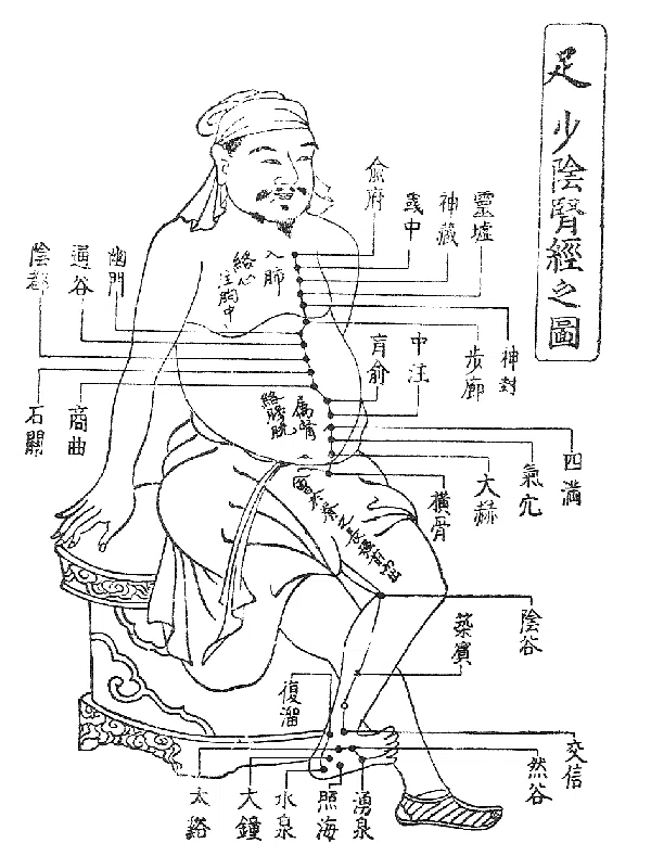 [12 Meridians Series Part 8: Foot Shaoyin Kidney Meridian] The Source ...