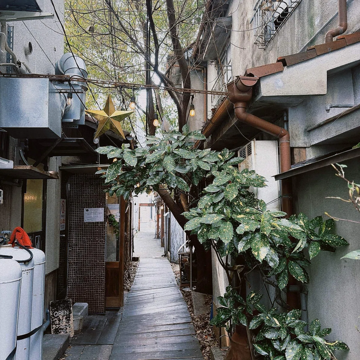 2026.3姫路・明石🏯2日目｜うわあ