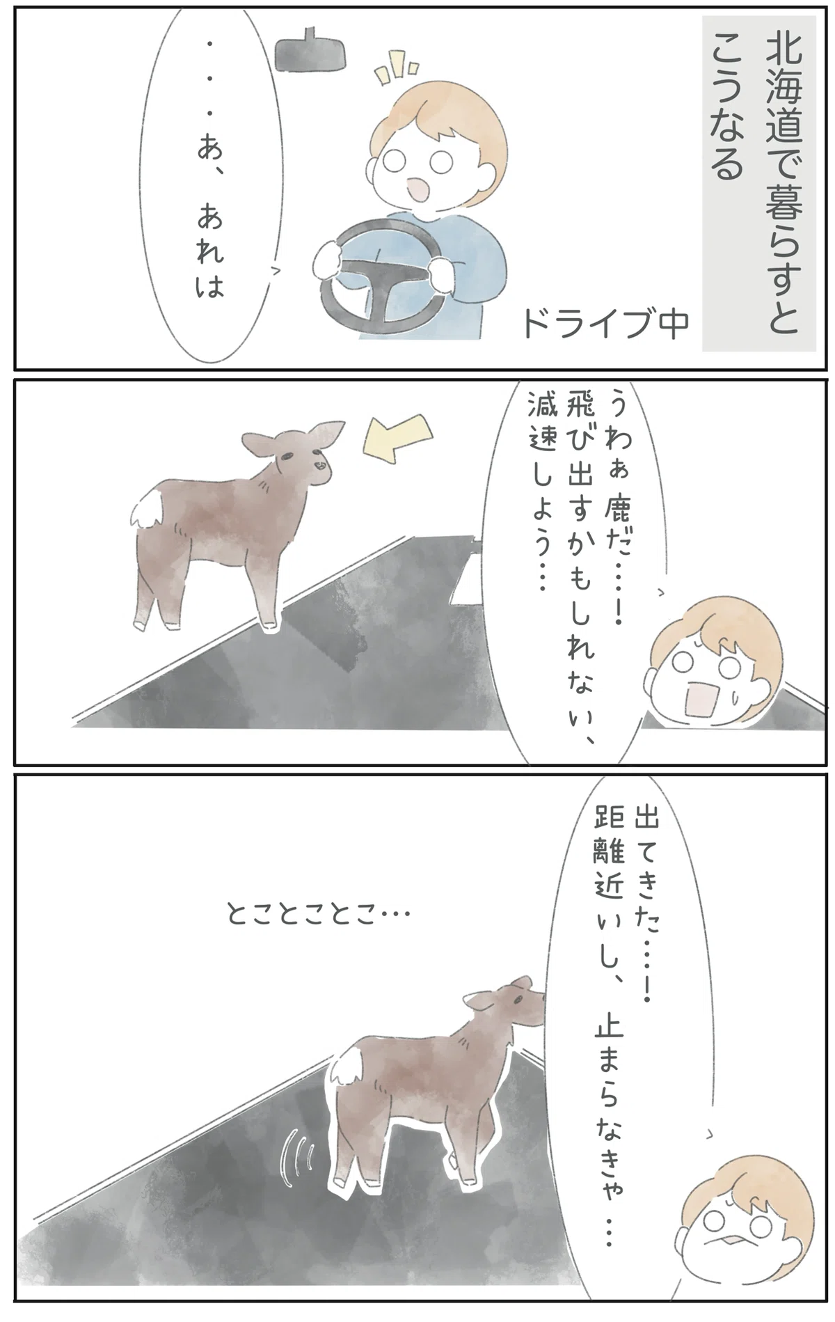 【コミックエッセイ】野生動物との仁義なき戦い【北海道あるある】｜とうゆ