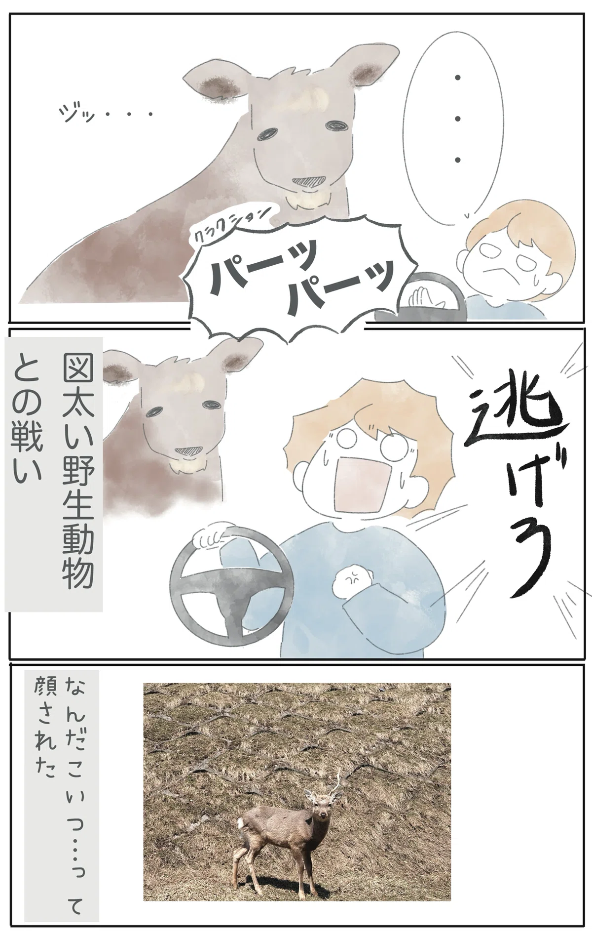 [Comic Essay] A War Without Honor Against Wild Animals [Hokkaido Common ...