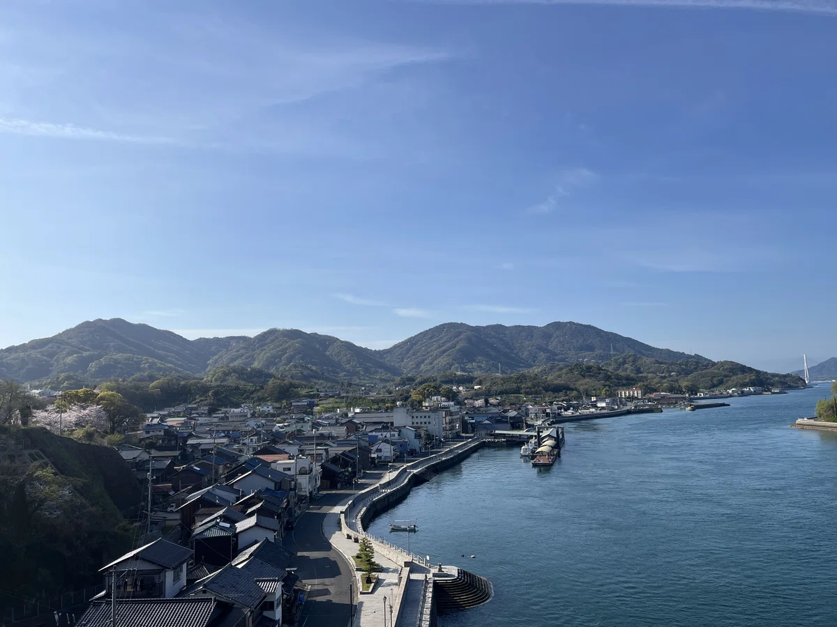 やりがいは探すものじゃなく、一生懸命やった先に気づくものだと思っている｜畑中紫臣｜株式会社TORUS公式