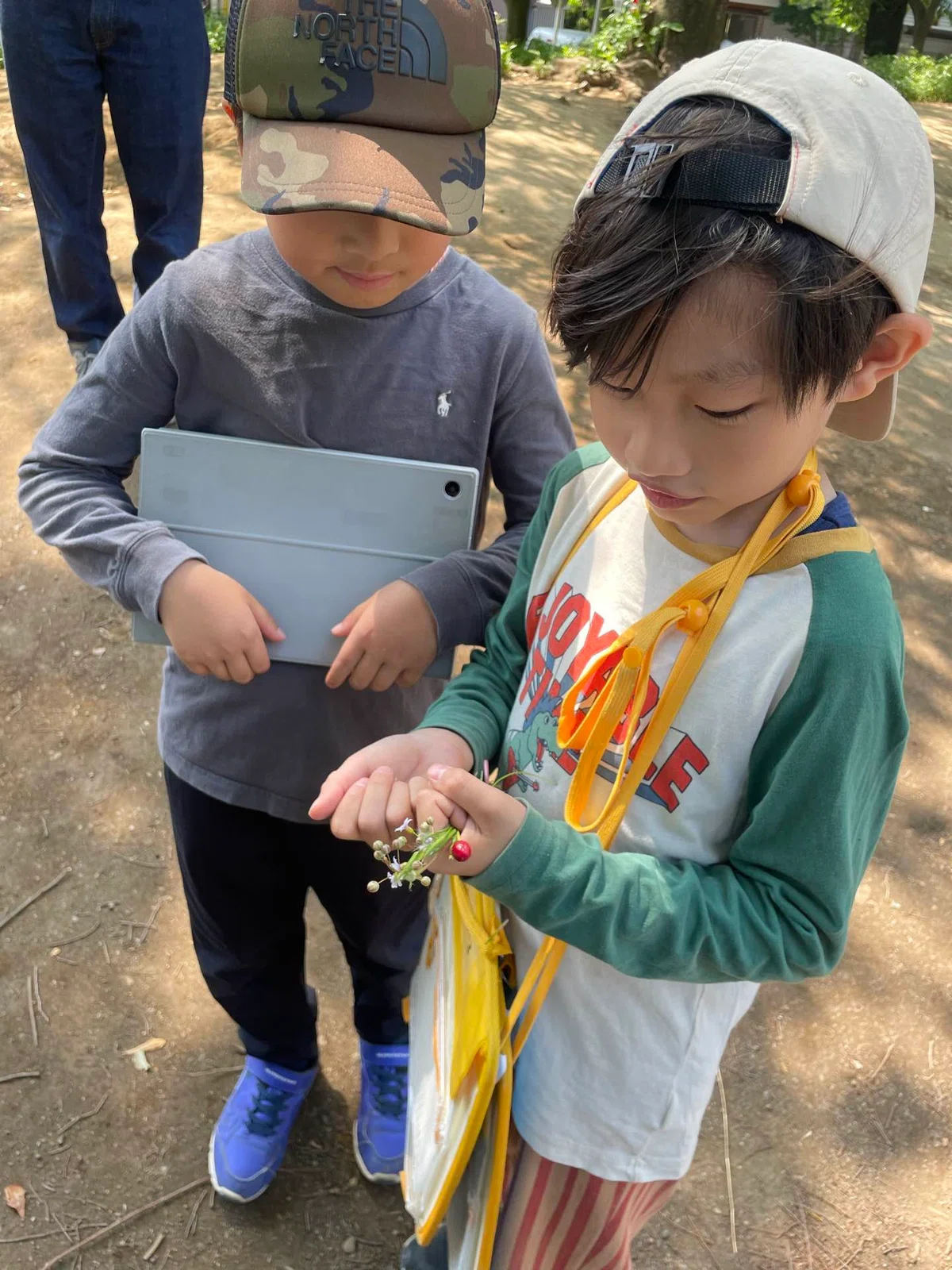 テーマ学習「季節と生物〜春のいきものマップをつくろう！〜」｜ヒロック初等部（HILLOCK Primary School）