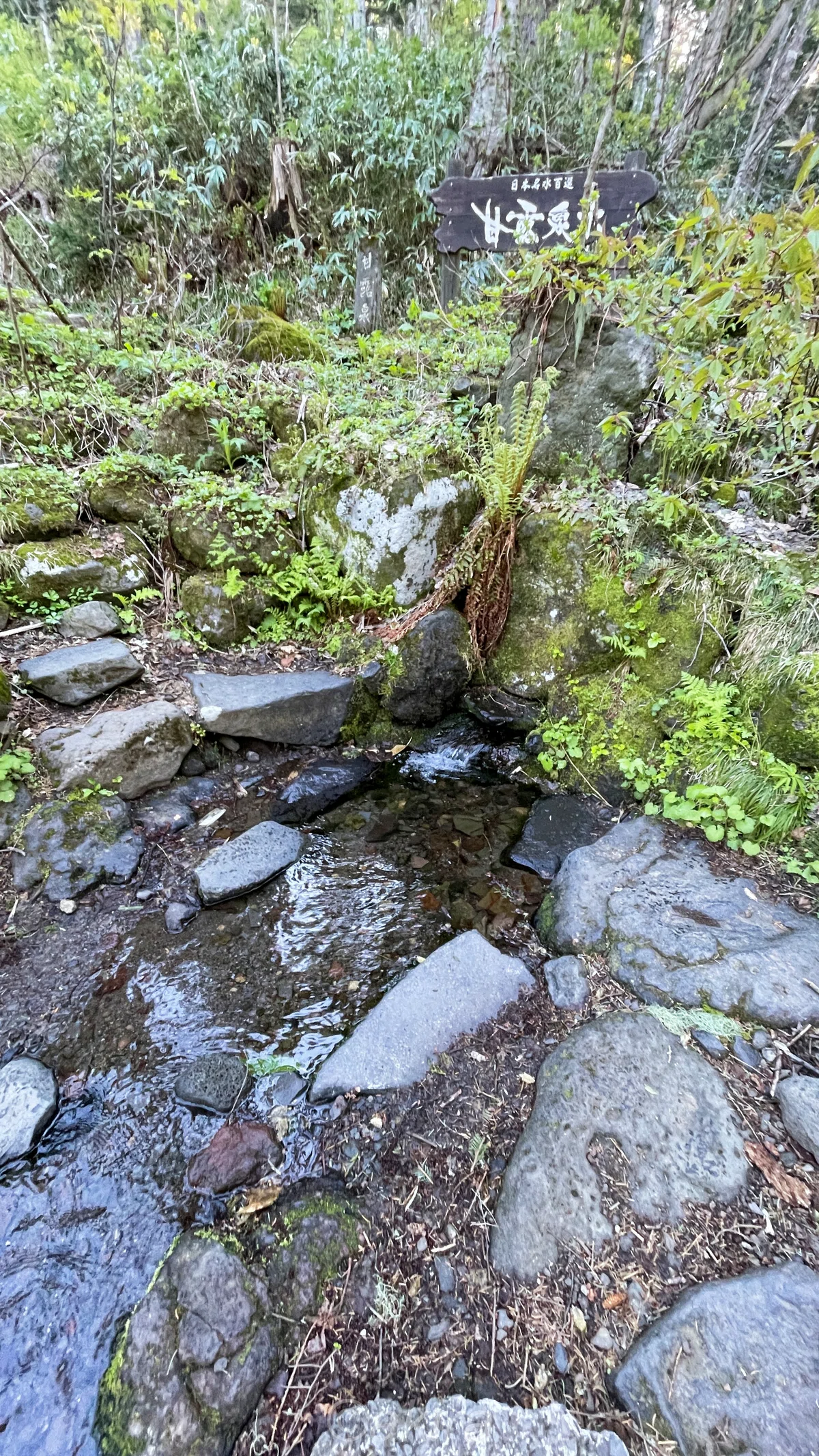 利尻島の鳥見その2｜akira@fuchu