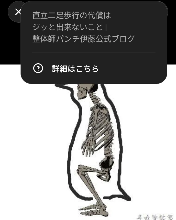 📗📣The story of how I got a penguin's knees straightened and ended up ...