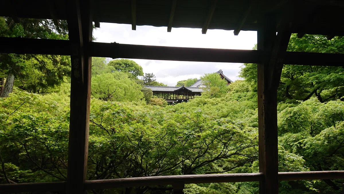 Kyoto in May: Famous Autumn Foliage Spots You Should Visit During the ...