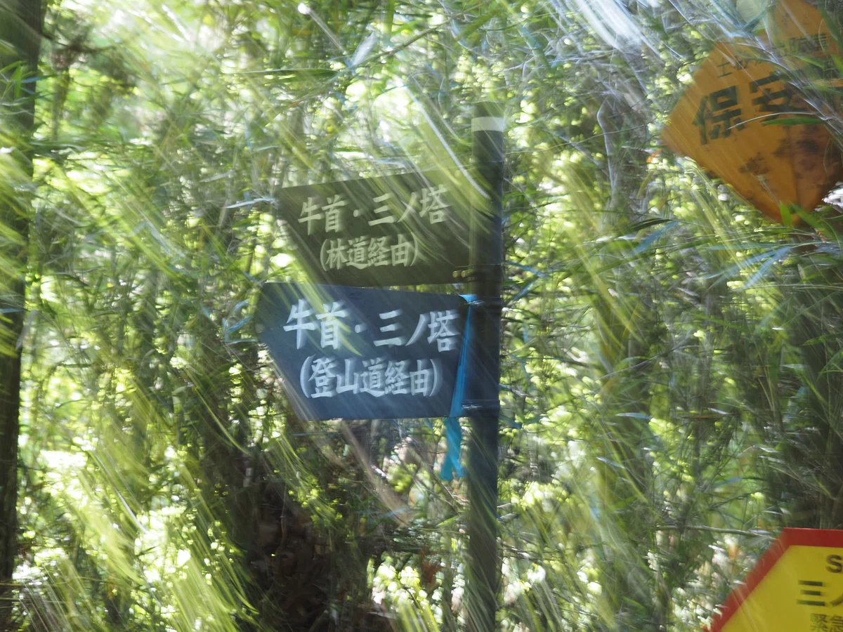 秦野戸川公園基点で丹沢三ノ塔往復をしてきました－神奈川県央の風景など｜かわいあきら