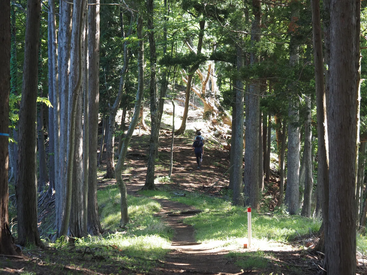 秦野戸川公園基点で丹沢三ノ塔往復をしてきました－神奈川県央の風景など｜かわいあきら