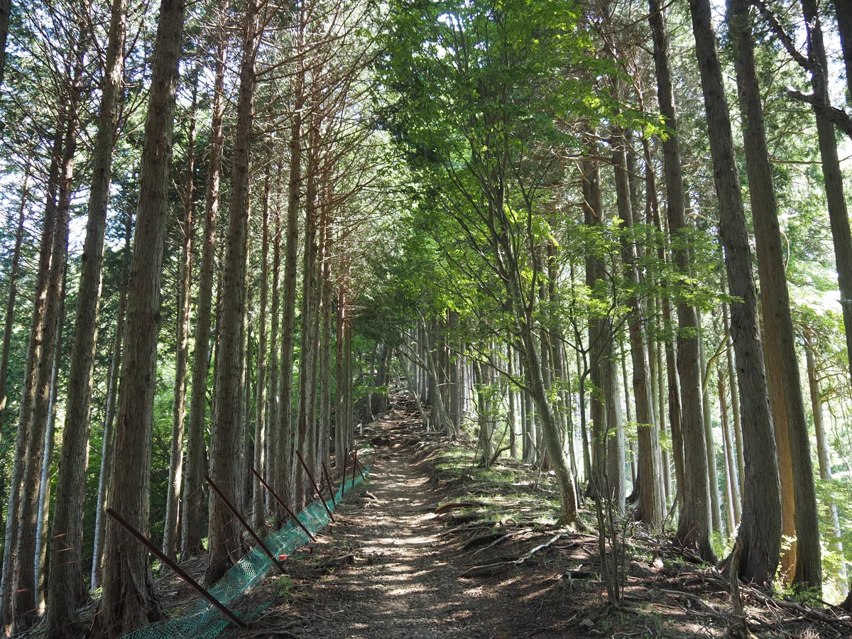秦野戸川公園基点で丹沢三ノ塔往復をしてきました－神奈川県央の風景など｜かわいあきら