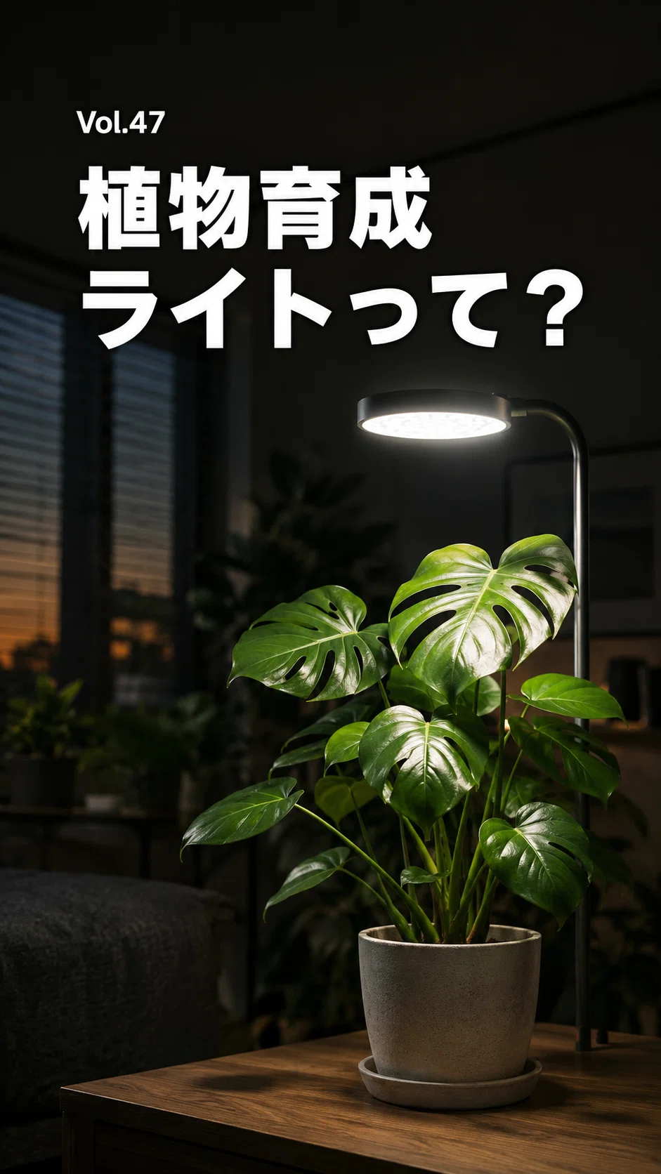 日当たりが悪くても植物は元気に育つ？植物育成ライトの選び方と使い方｜Biophilic Style