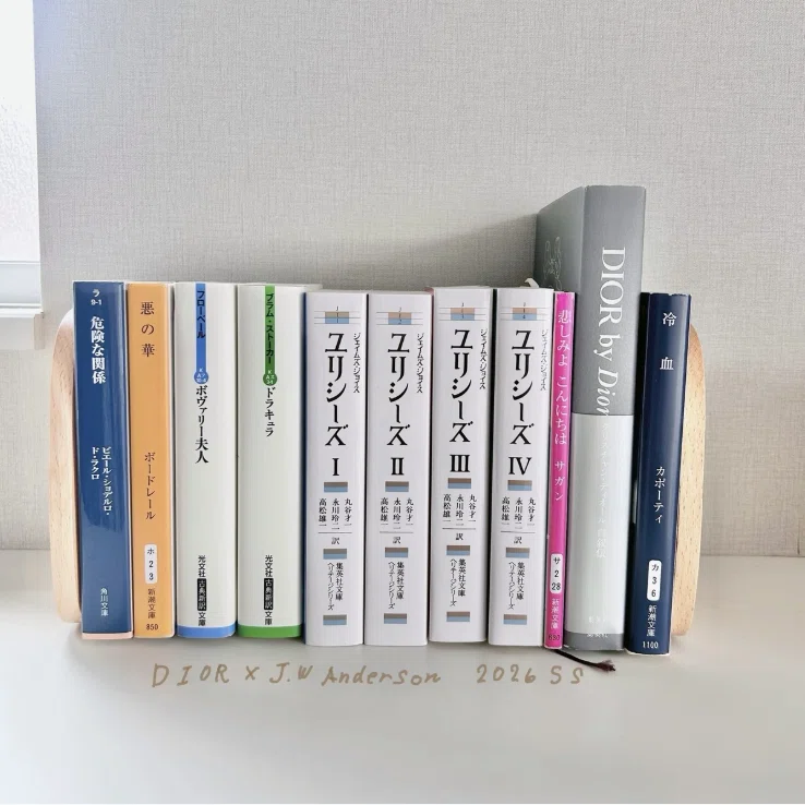[Reading] The Day I Opened Dior’s “Books” — The Beginning of My Little ...