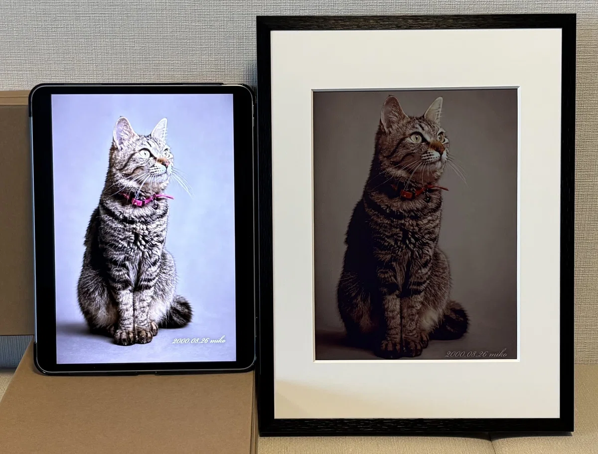 SwitchBot AIアートキャンバスで、過去の写真や絵を飾る｜ALL-CHIYU