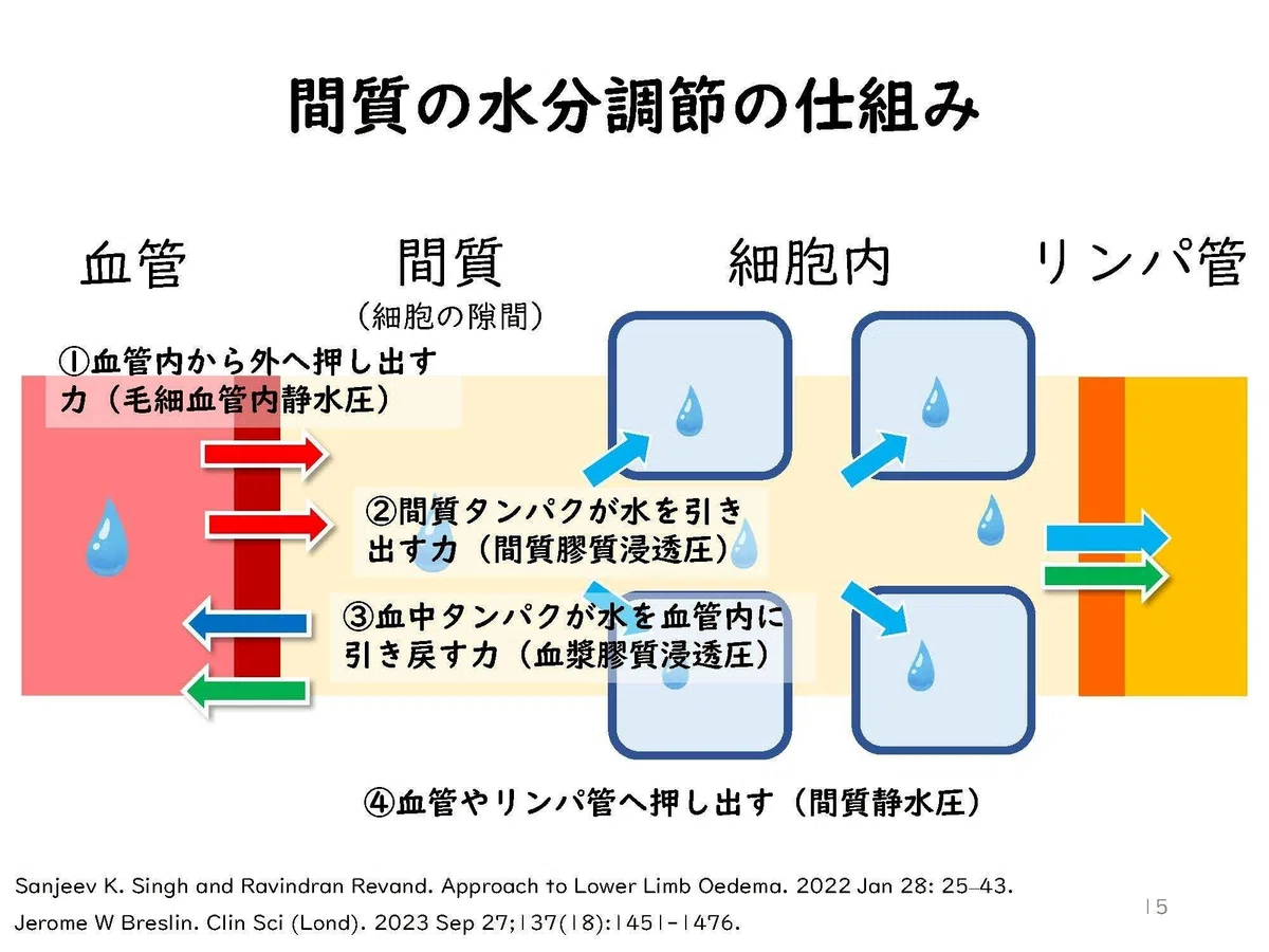 むくみのメカニズムと改善方法｜栄養実践管理士 大久保晶子