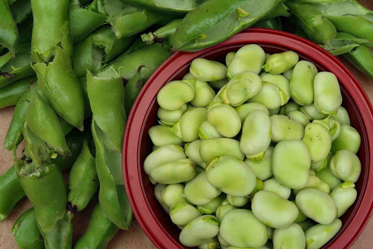 子どもが『食材の名前』を知らない：野菜も魚も識別できない現実｜海の食育.com / 料理研究家 本保圭一郎