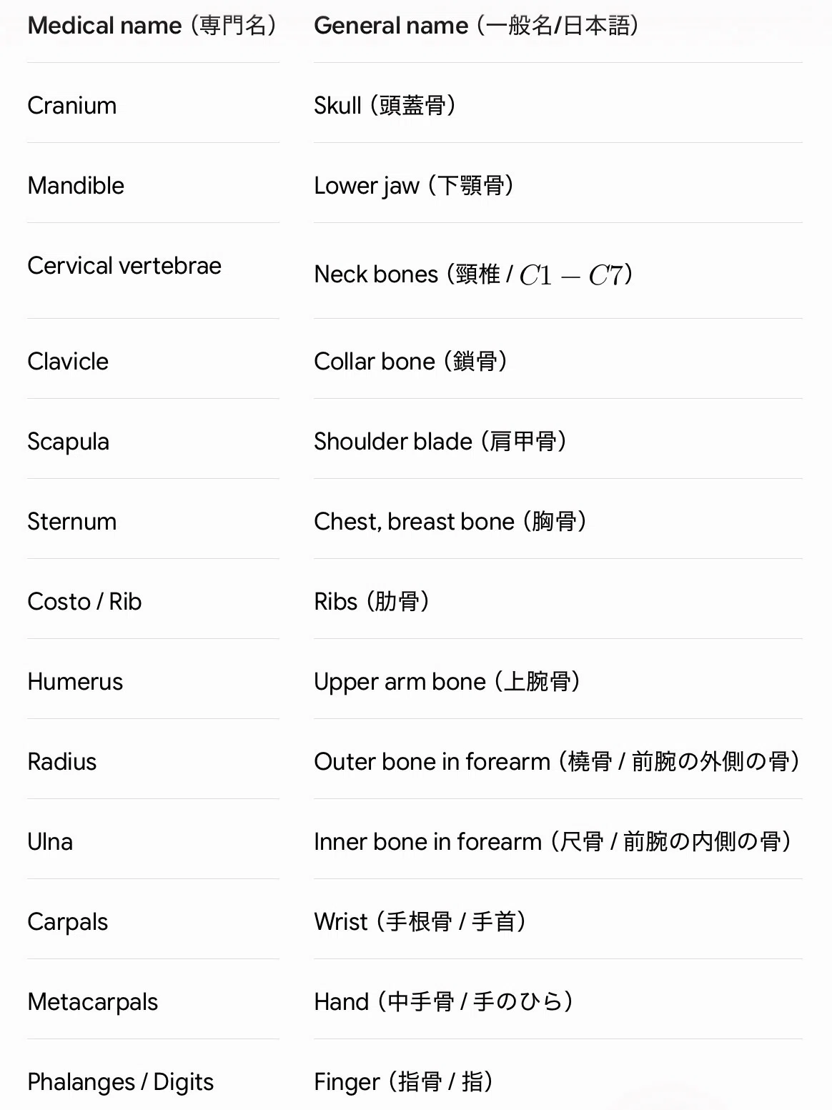 The Skeletal system｜NON