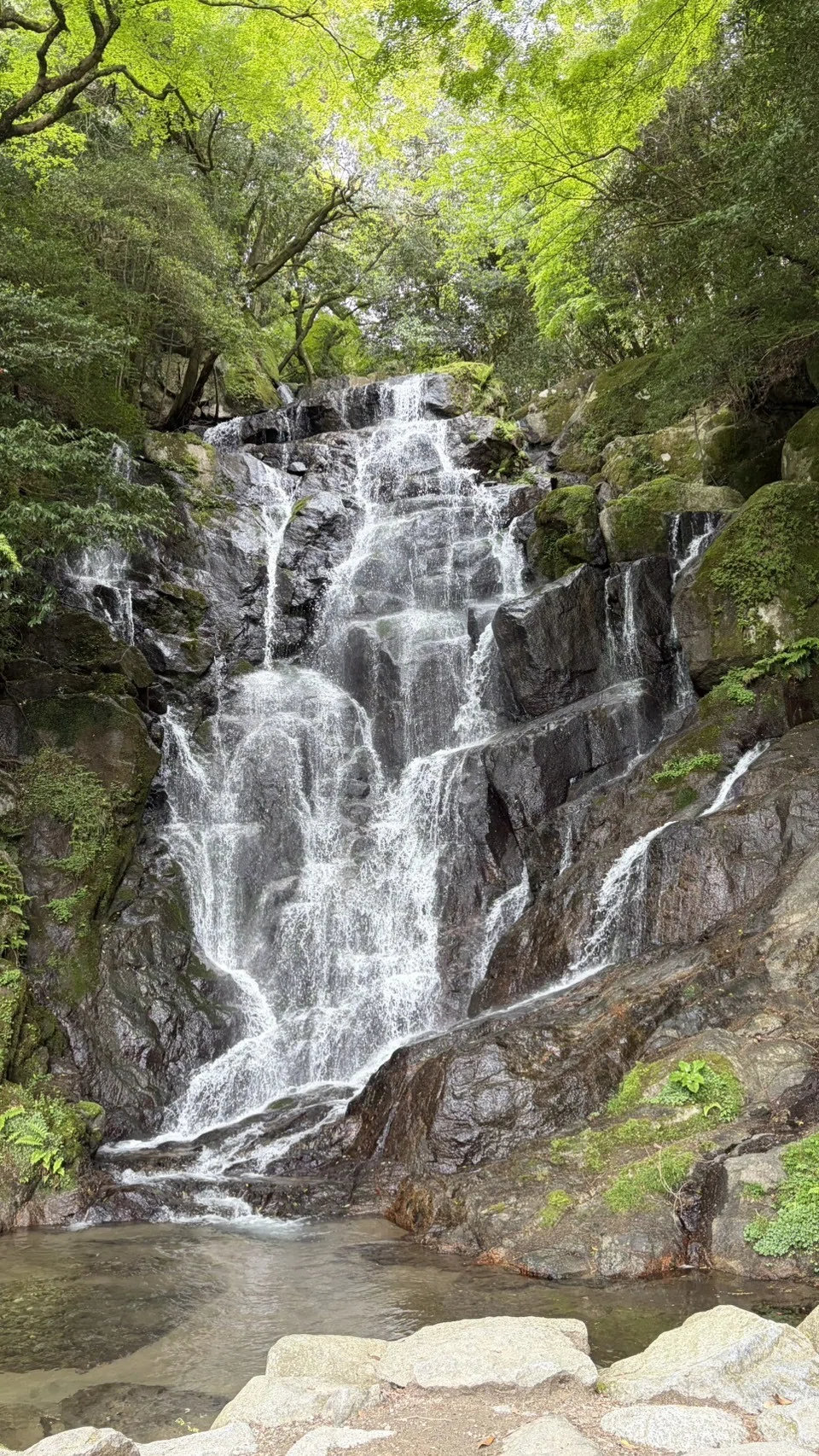福岡旅行【観光編】｜Kyoko Yoshioka