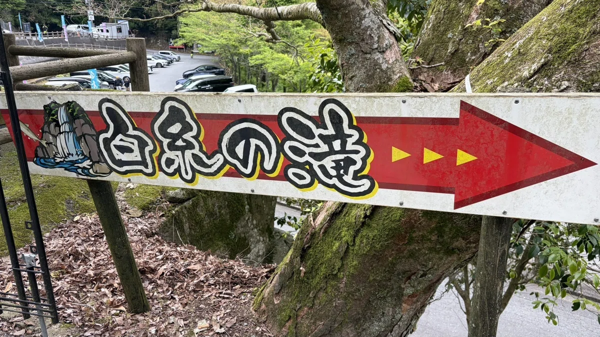 福岡旅行【観光編】｜Kyoko Yoshioka