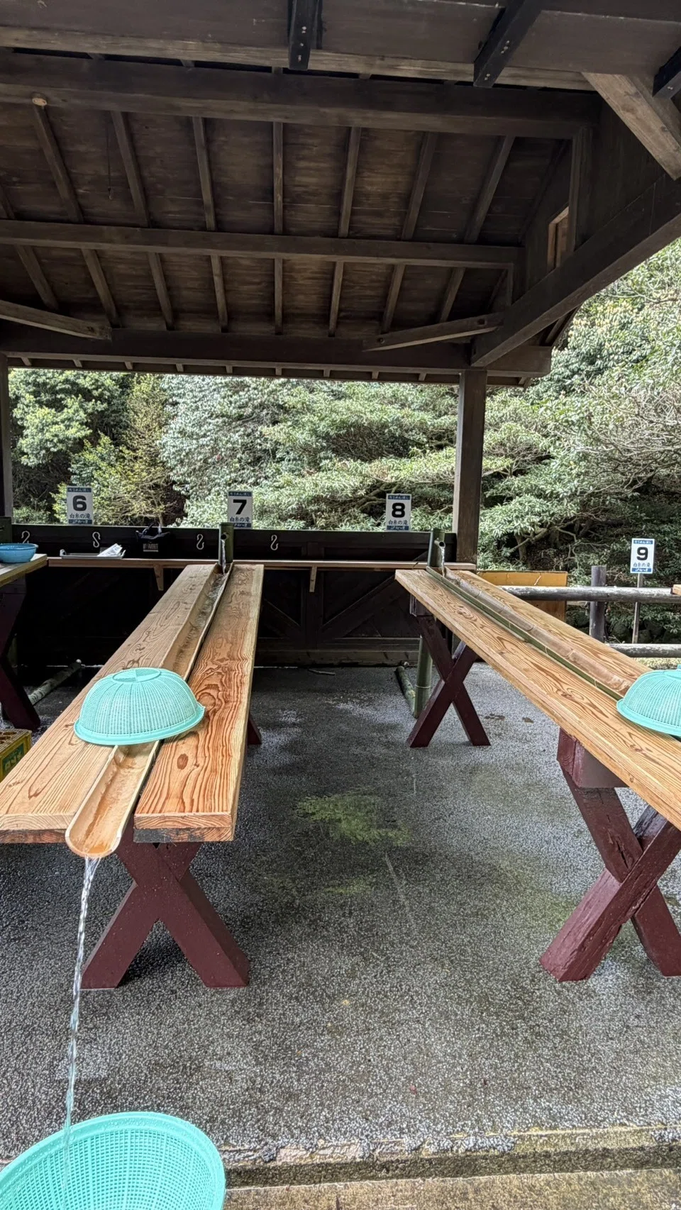 福岡旅行【観光編】｜Kyoko Yoshioka
