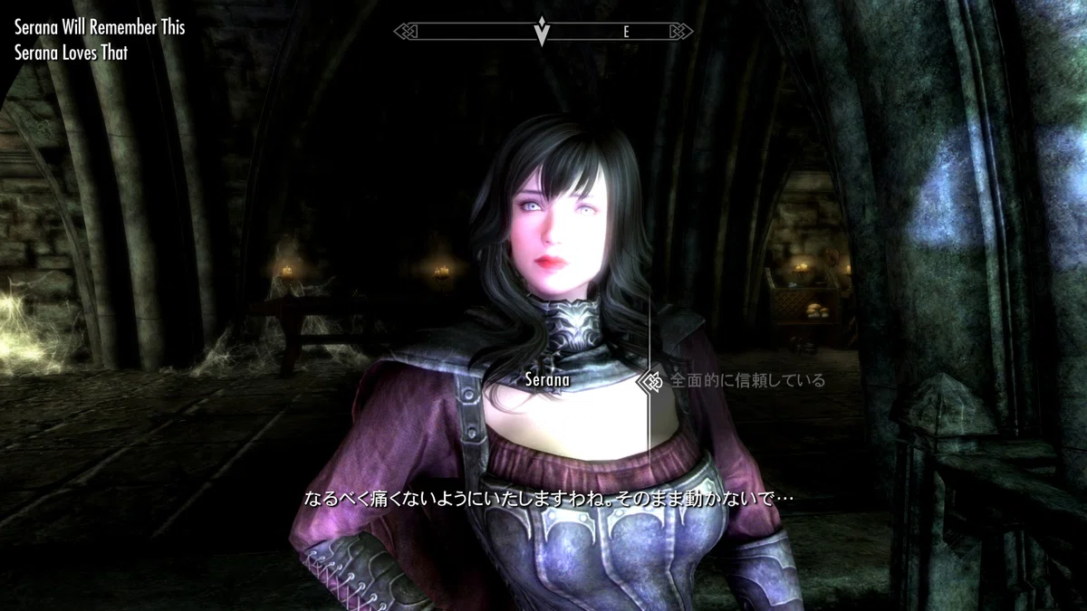 スカイリム放浪記｜skyrim_travel