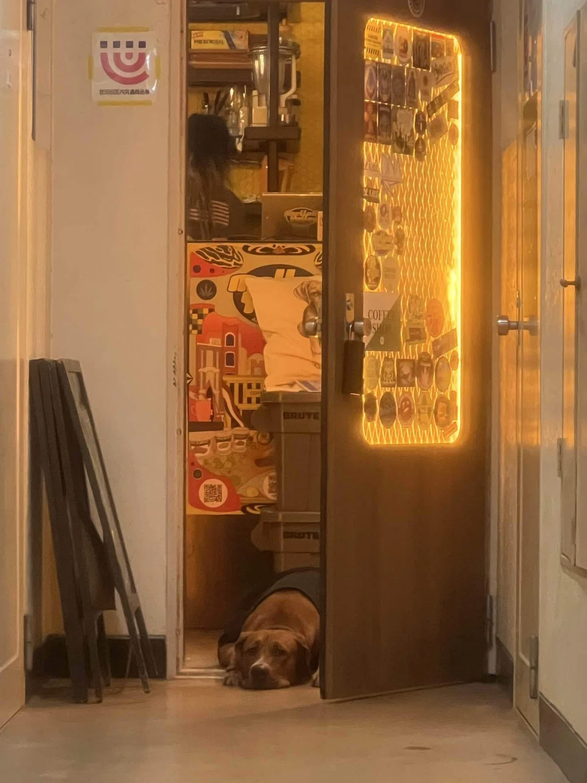 Mellow Family — Seven Homes, Still Connected｜Mellow Yellow