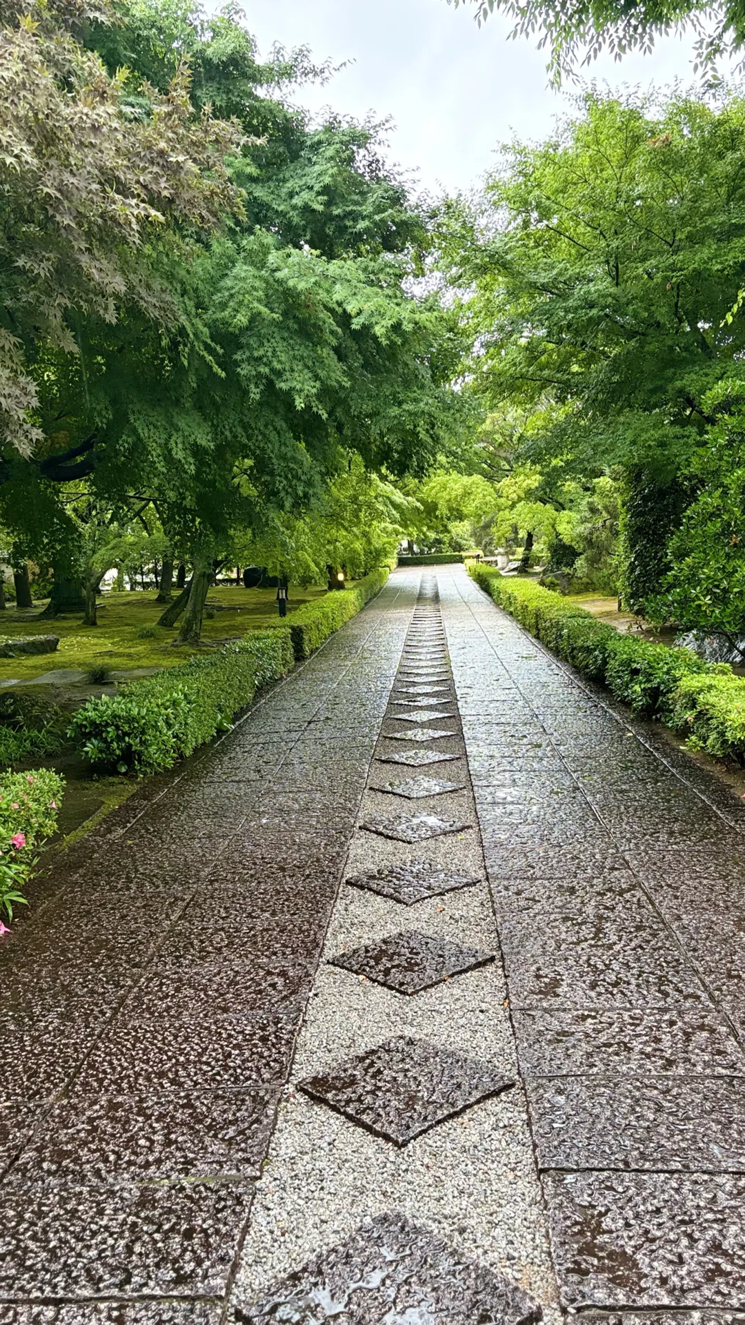 #8562: Walking through Kyoto shrouded in rain, the final chapter—from ...