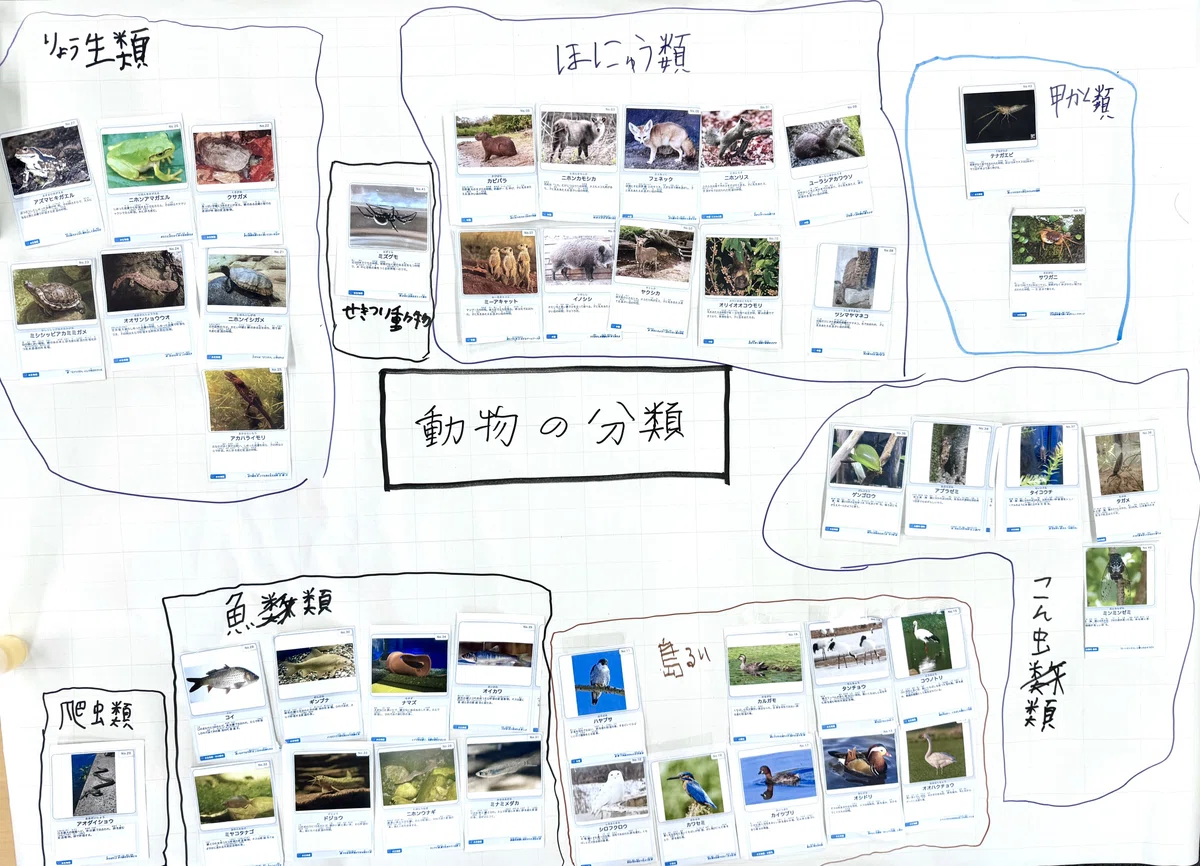テーマ「生物の仲間分け〜分類をつくる〜」｜ヒロック初等部（HILLOCK Primary School）