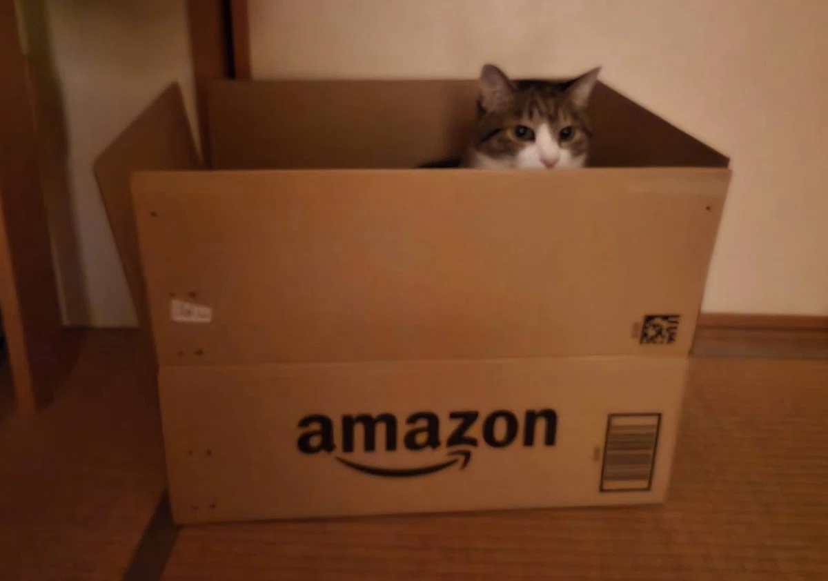 #003 Boxed-in Cat (4-Panel Comic)｜茶飲み先生と猫