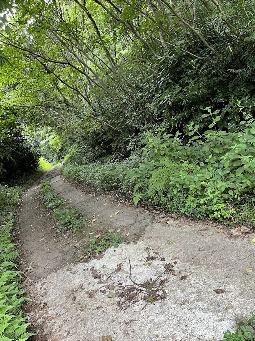 山の髙橋農園について｜北海道大学陸上競技部短距離パート
