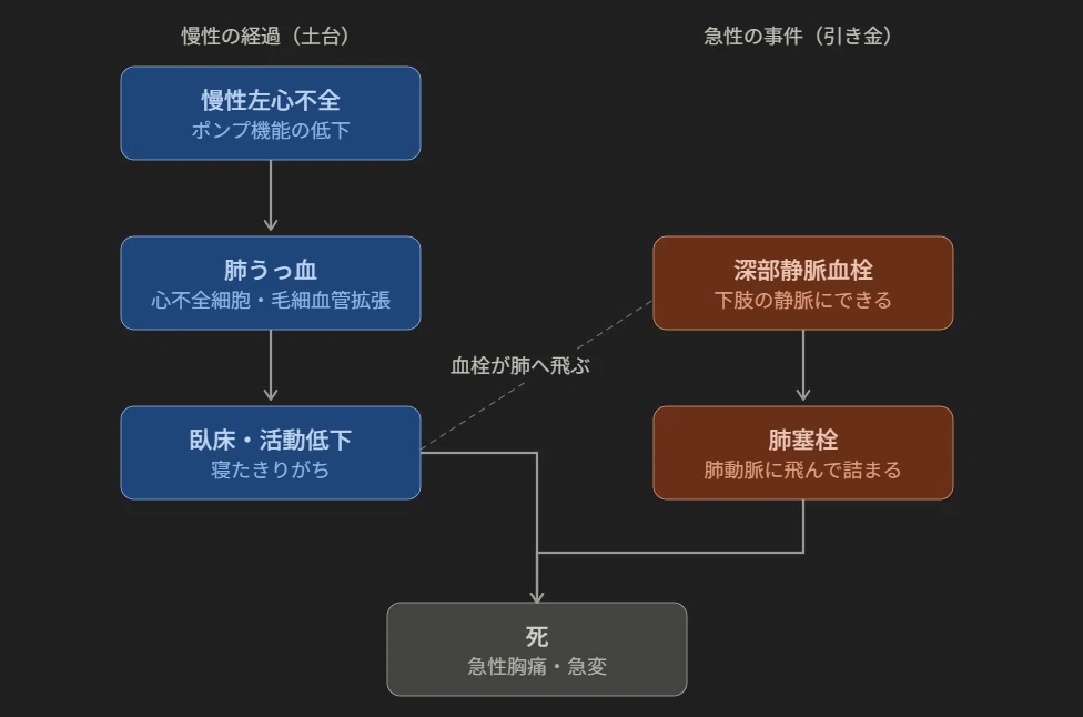 Why were pathology classes so boring?｜劇薬病理医
