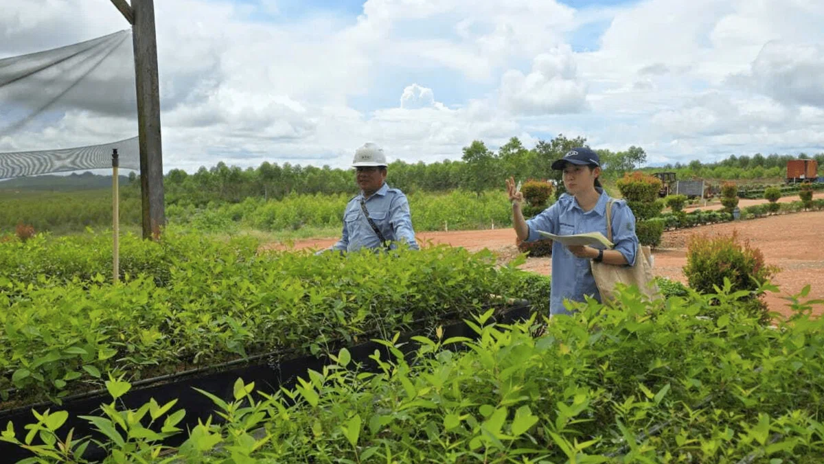 Nurturing Forests in Kalimantan, Indonesia｜From Oji Around the World ...