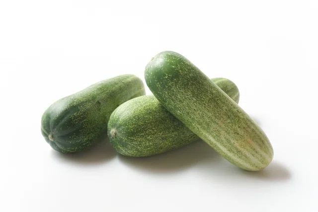 きゅうりの常識が崩壊！？🥒 【加賀太きゅうり】｜808青果店