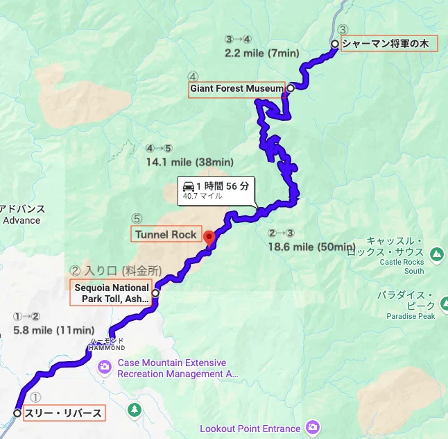 5月セコイヤ＆キングスキャニオン国立公園に子連れで行ってきた｜LA発・3泊・6歳3歳｜Aruna