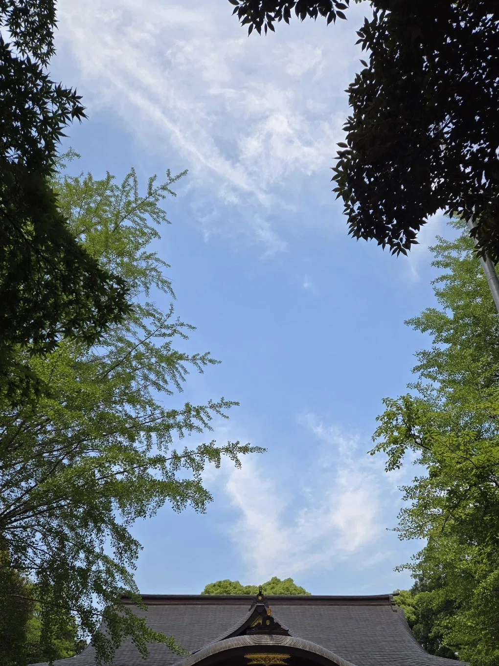 【目印を見つけるノート】2258. 半日大学で過ごしていました｜尾方佐羽